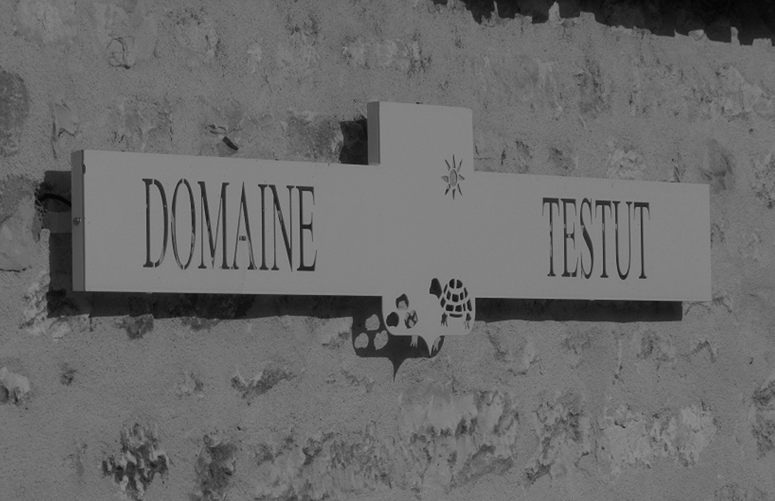 Domaine Testut - Icarius Wijnen